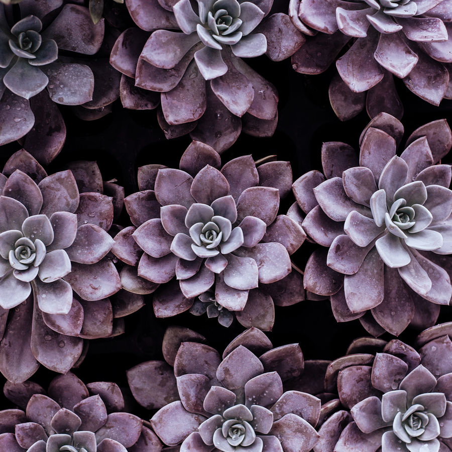 Healing Pathways Therapy Room - Healing Pathways